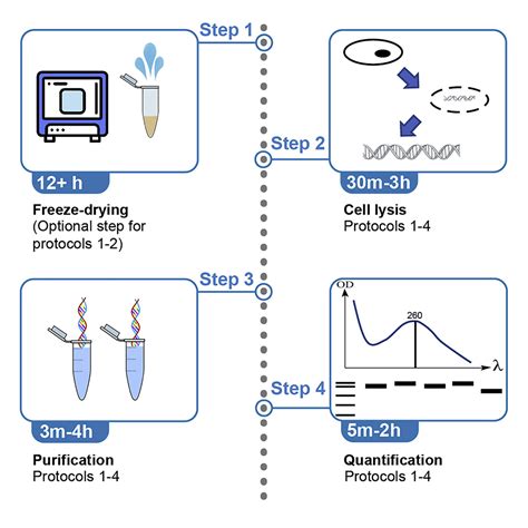 Cell Press Star Protocols