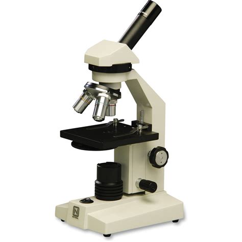 Diagram Of The Microscope Gcse 9 1 B1 1 Quizlet