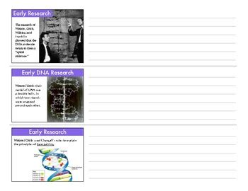 DNA Structure Lecture By Hillary Leeman TPT