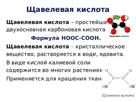 Многообразие карбоновых кислот