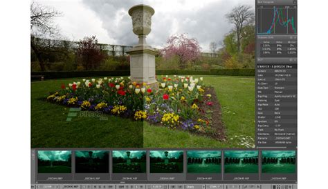 Fastrawviewer 20102058 Free Download Filecr