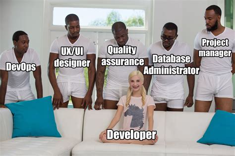 any software development team r programmerhumor