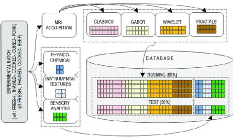 pre processing phase download scientific diagram