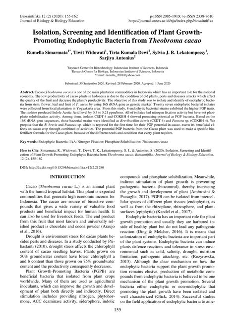 Pdf Isolation Screening And Identification Of Plant Growth Promoting Endophytic Bacteria From
