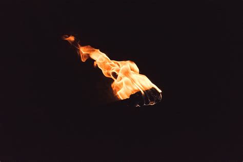 Pytorch Dynamic Computational Graphs And Modular Deep Learning By