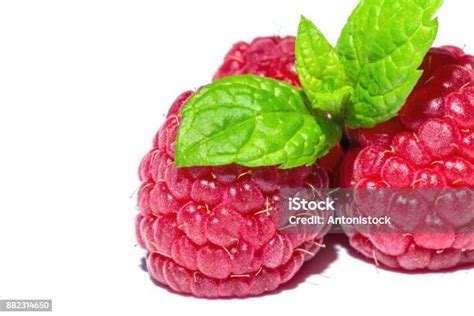 흰색 배경에 고립 된 최고의 매크로 클로즈업에 민트 잎의 무늬와 딸기 0명에 대한 스톡 사진 및 기타 이미지 0명 3가지 개체 개체 그룹 Istock