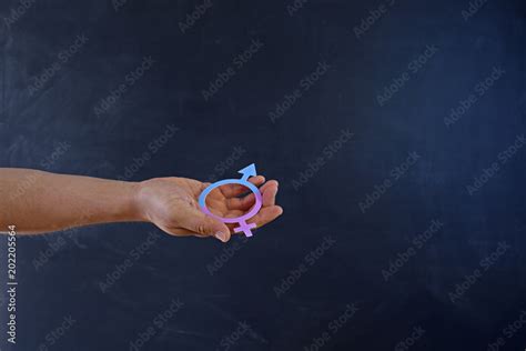 Gender Symbols Or Signs For The Male And Female Sex Drawn On A Blackboard Stock Photo Adobe Stock