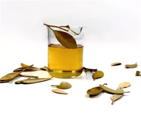 2023 The Year Of The Detox Muvo