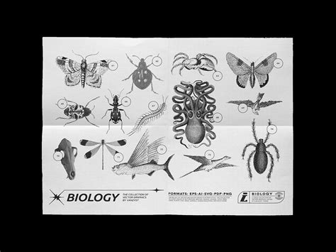 125 Vector Bitmap Assets Biology Behance