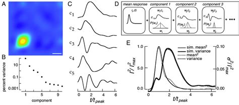 Using The Response Covariance To Simulate Single Photon Responses A