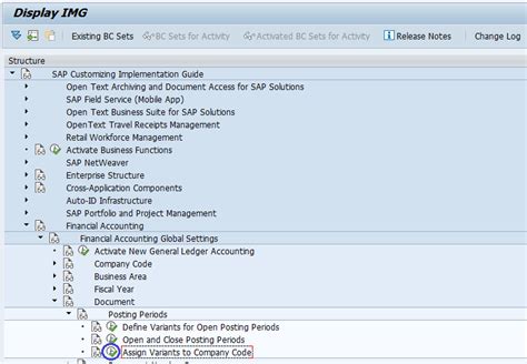 SAP FI Assign Variant To Company Code