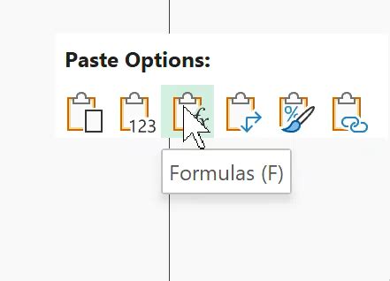 Paste Special Options In Excel MBT