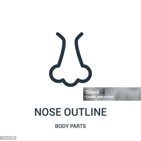 신체 부위 컬렉션에서 코 윤곽 아이콘 벡터입니다 얇은 라인 코 개요 개요 아이콘 벡터 일러스트 레이 션입니다 건강관리와 의술에 대한 스톡 벡터 아트 및 기타 이미지 Istock