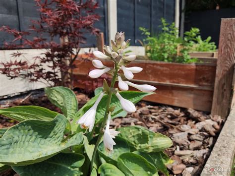 Poco F Review Sensational Phone At A Sensational Price