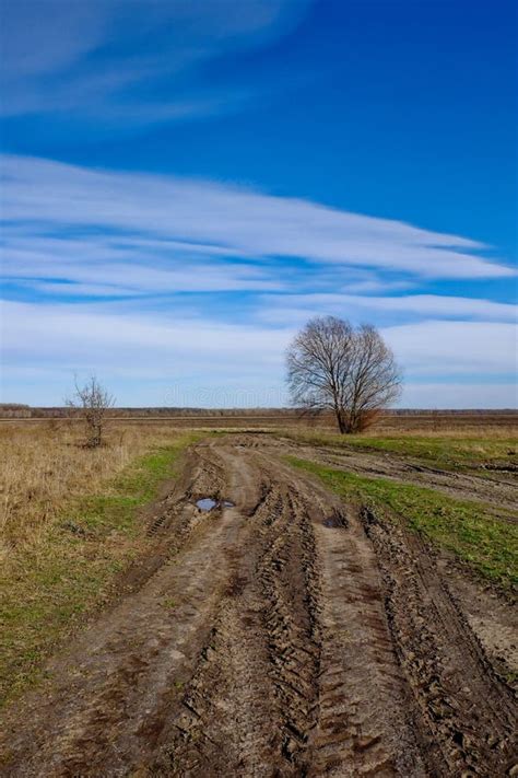 A Single Tree In A Field A Dirt Road Curving Towards It Stock Photo