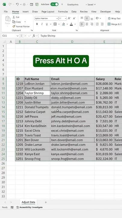 How To Adjust Data In Excel Excellife Excelshortcuts