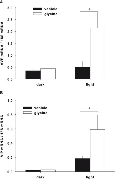 Gene Expression In The Scn The Expression Of Avp A And Vip B Were Download Scientific