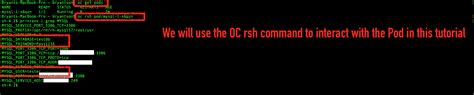 Persistent Storage In Action Understanding Red Hat OpenShift S Persistent Volume Framework
