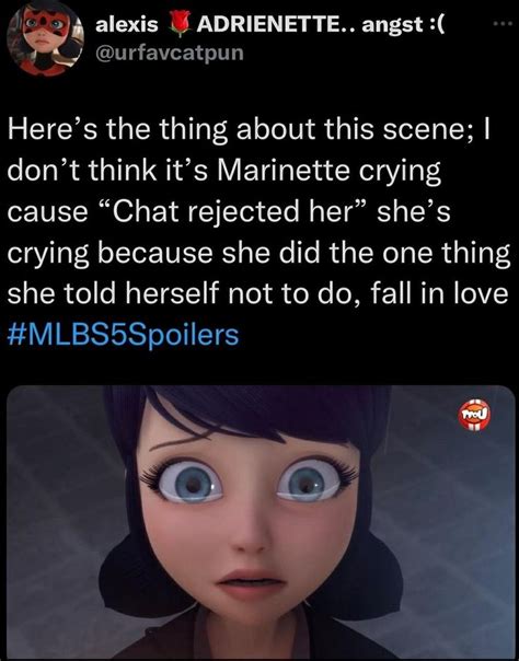 Pin By Brittany Hoerl On Ladybug And Cat Noir Miraculous Ladybug