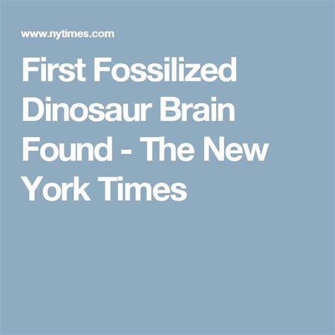 First Fossilized Dinosaur Brain Found