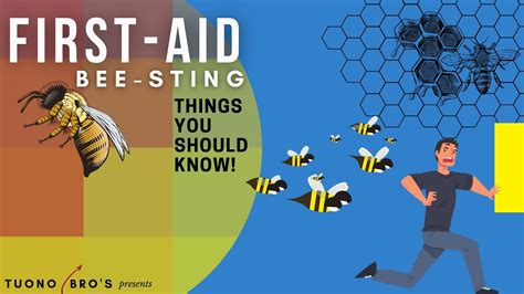 First Aid Bee Sting Basics Everything You Should Know Youtube