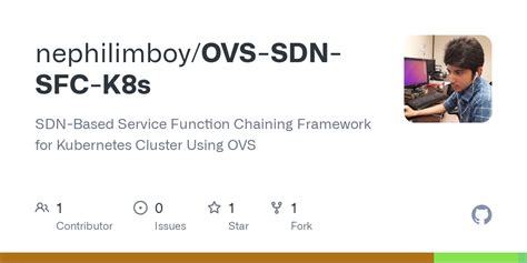 Github Nephilimboyovs Sdn Sfc K8s Sdn Based Service Function