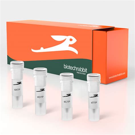 Dntp Set 100 Mm Solutions 4 × 1 Ml Westburg Life Sciences