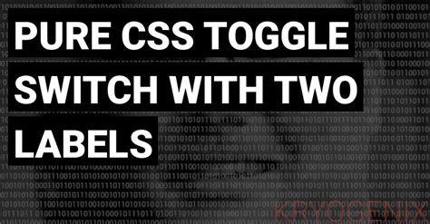 As Days Pass By Pure CSS Toggle Switch With Two Labels
