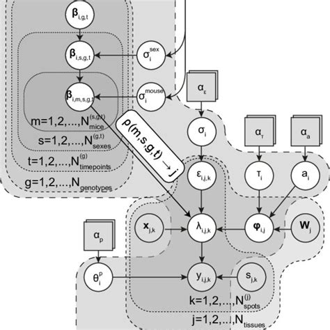 A Graphical Representation Of The Statistical Model Used To Analyze Download Scientific Diagram