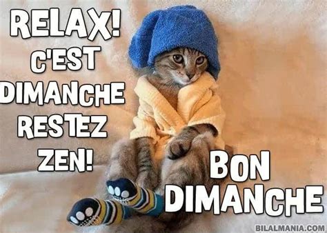 ᐅ 50 Bonjour Bon Dimanche  Image Et Citation [2025]
