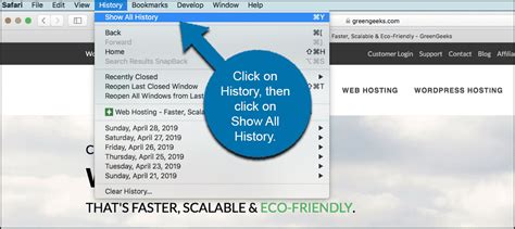 How To Check Browsing History In Safari Greengeeks