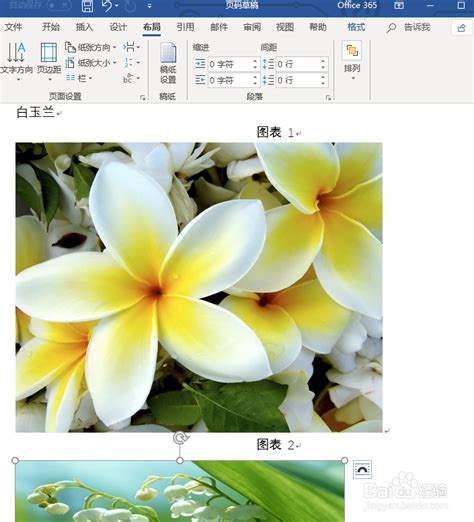 word如何快速统一图片大小？ 论文公式怎么把图片调节成统一大小csdn csdn博客