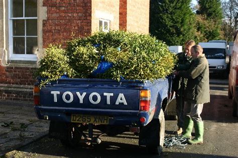 First Auction Usual Press Confusion Jonathans Mistletoe Diary