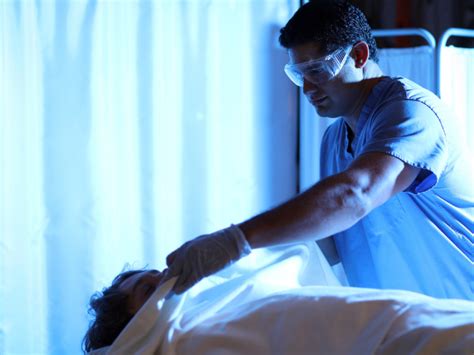 O Que é Qual A Importância Do Cadáver Fresh Frozen Entenda