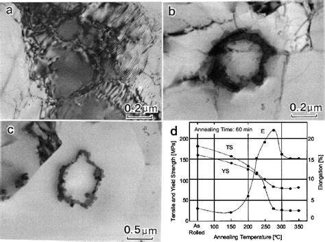 Silicon Segregates Or Precipitates On The Dislocation Cell At Rt A