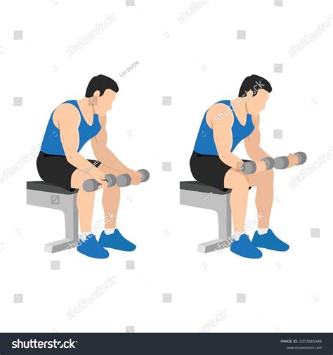 Wrist Curls The Seated Barbell Wrist Curl Complete Exercise Guide