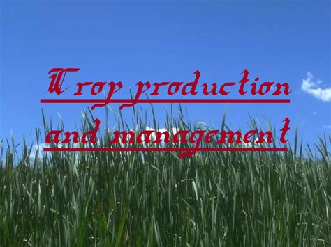 Science Project Ppt Science Project Ppt