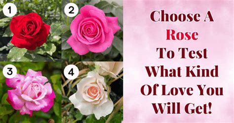 Choose A Rose To Test What Kind Of Love You Will Get Testnameme