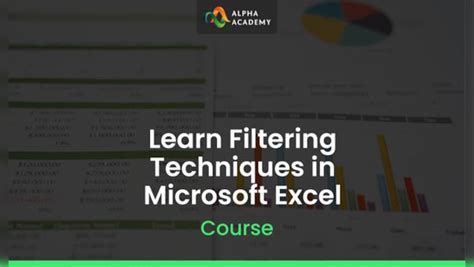 Acheter Learn Filtering Techniques In Microsoft Excel Alpha Academy