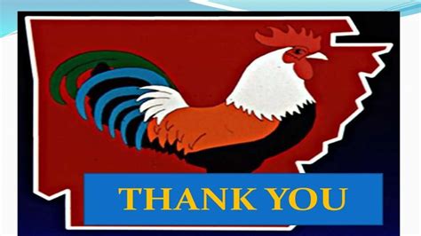 Egg Structure And Compositionpptx Download Pptx