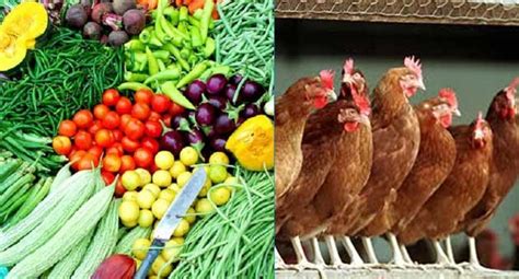 অর্থনীতি নতুন কাগজ সত্য প্রকাশে আপোষহীন