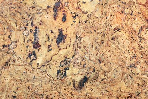 Fotos De Fosile Texture 92000 Fotos De Stock Gratuitas De Gran Calidad