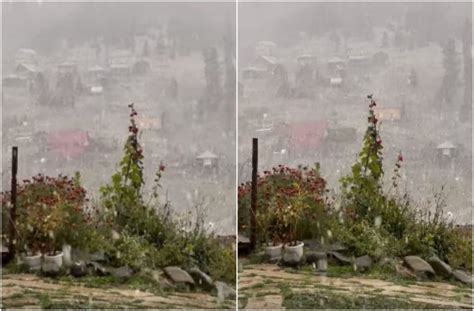 Video ბახმაროში პირველი თოვლი მოვიდა