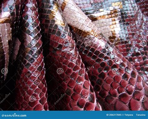 Red Skin Of Python Snake Stock Image Image Of Food 206317845