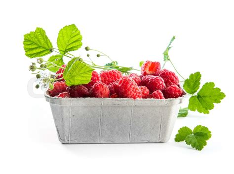 Raspberry Container Stock Image Colourbox