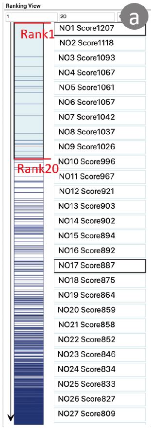 【论文阅读笔记】seqdynamicsvisual Analytics For Evaluating Online Problem Solving Dynamics 一颗仙人掌