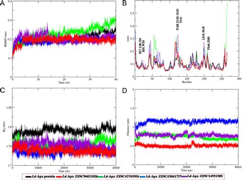 molecular dynamics simulation analysis during a time span of 40 ns a