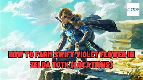 How To Farm Swift Violet Flower In Zelda Totk Locations Wisdom Ganga