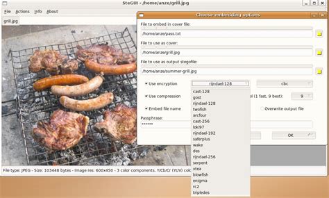 Four Ways To Hide Information Inside Image And Sound Objects