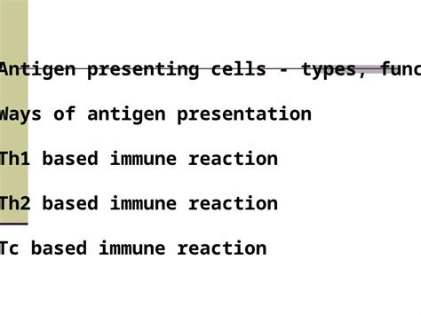 PPTX Antigen Presenting Cells Types Function Ways Of Antigen Presentation DOKUMEN